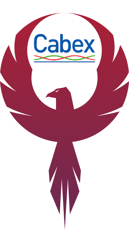 Cabex 2025 - Компания "Возрождение", Москва